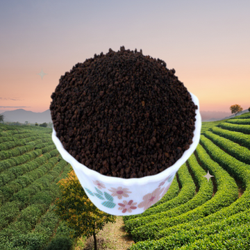 Dhruba Tea – INDIA CUISINE