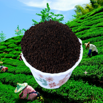 Dhruba Tea – INDIA CUISINE