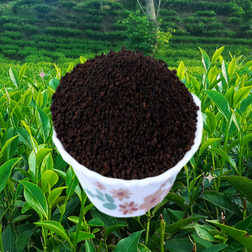 Dhruba Tea – INDIA CUISINE