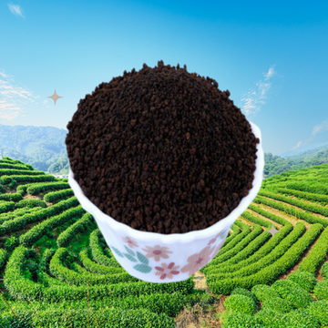Dhruba Tea – INDIA CUISINE